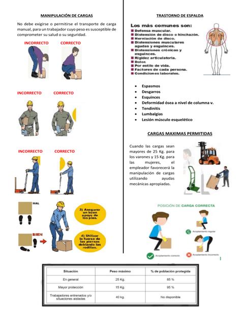 Manipulación De Cargas Y Prevención De Lesiones De Espalda