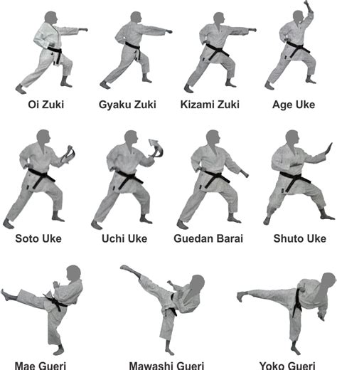 Kihon Karatê Shotokan