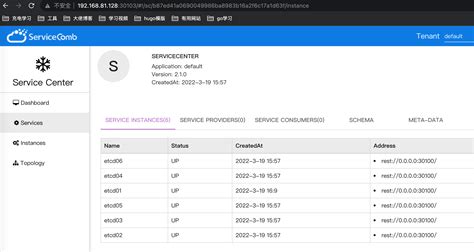 Syncer — Servicecomb Service Center Documentation