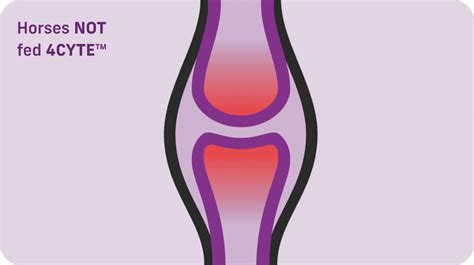 The Science 4cyte™ Au