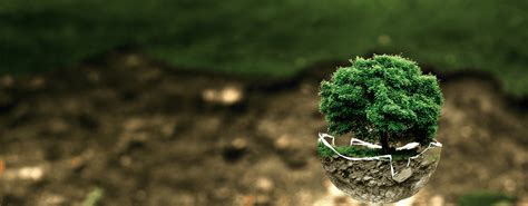 Confused By Strain Potency Heres How To Compare Different Weed