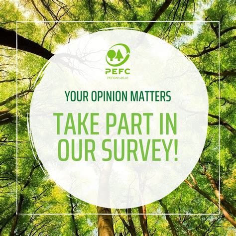 Sustainability Forestry Sustainableforestry Network For Certification And Conservation Of