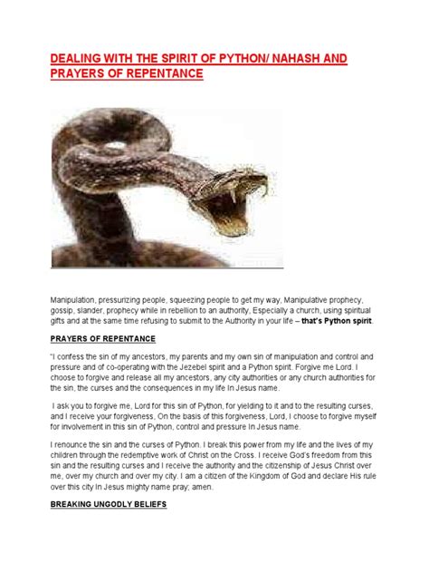 Dealing With The Spirit Of Python Pdf Christian Church Intercession