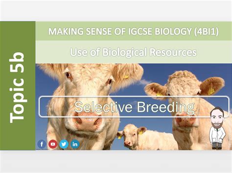 Igcse Biology 9 1 5b Selective Breeding Teaching Resources