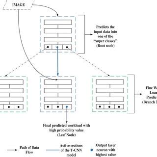 Functional Model Of Tree Hierarchical Deep Convolutional Neural Network Download Scientific