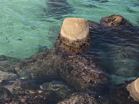 Uljin Kostenloses Foto Auf Pixabay