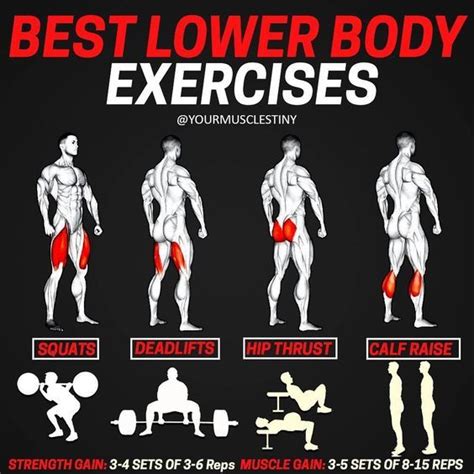The Six Week Lower Body Workout For Ultimate Gains And Quad Size