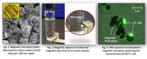 Rapid Portable Detection Of Coliforms And E Coli In Drinking Water Interdisciplinary