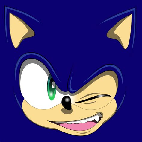Winking Sonic By Karin Karukami On Deviantart