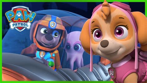 Best Rescues From Skye Zuma And More Episodes Paw Patrol Cartoons