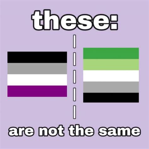 🖤🤍💜≠💚🤍🖤 Lgbt Memes Asexual Humor Relatable
