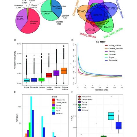 Summary Statistics For Genomic Variation A Functional