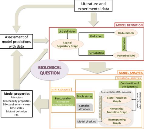 Typical Workflow To Tackle A Central Biological Function Using Logical Download Scientific