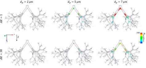 Figure 4 From In Silico Optimization Of Fiber Shaped Aerosols In
