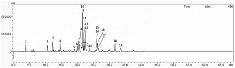 Total Chromatographic Profile At 290 Nm Of Ethanolic 50 Propolis
