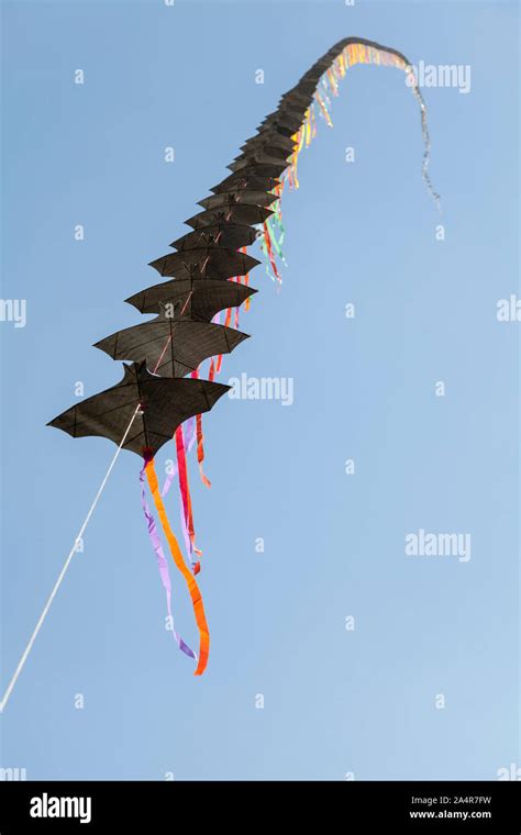 Types Of Kites