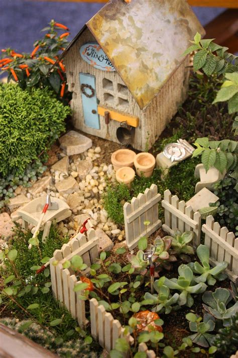 21 Miniature Gardens Ideas Miniature Garden Plants Fairy Garden