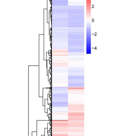 The Hierarchical Clustering For The Key Differentially Expressed Genes