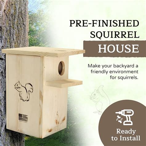 Squirrel House Plans Diy