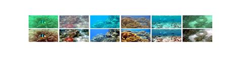An Underwater Image Enhancement Benchmark Dataset And Beyond Deepai