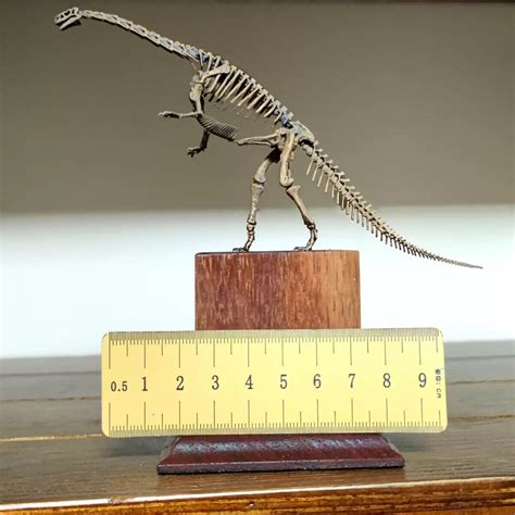 135 Lufengosaurus Skeleton Model Lana Time Shop