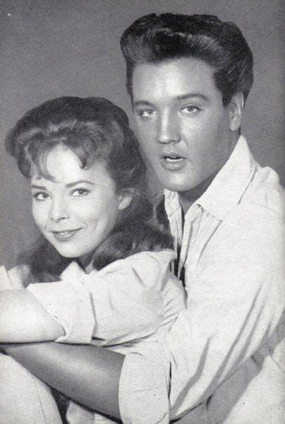 Anne Helm Elvis Presley Elvis Young Elvis Elvis Presley Movies