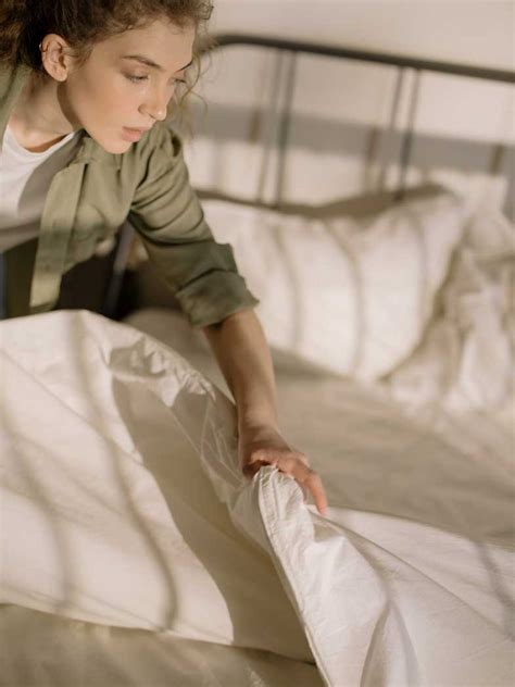 How To Get Rid Of Silverfish In Bed 8 Tips Smart Sleeping Tips