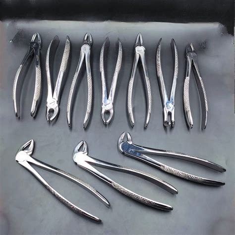 Jual Dental Tang Cabut Gigi Dewasa Per Pcs Adult Tooth Forcep Forcept