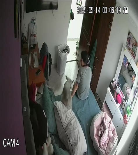 Vipcc2219 Young Couple Sex