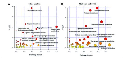 Bubble Diagram Of The Differential Metabolite Pathway Analysis In The