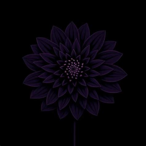 Black Dahlia · Free Ai Chatbot