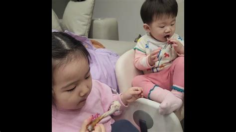 조씨남매먹방 Youtube