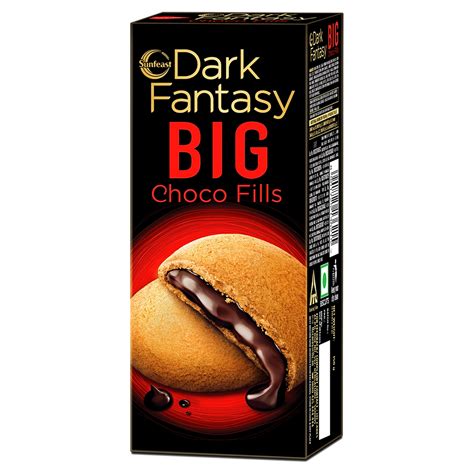 Sunfeast Dark Fantasy Big Choco Fills Exotic Snack Guys