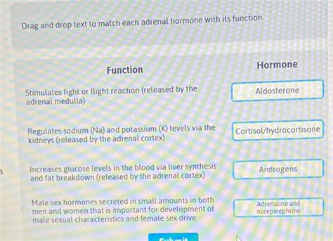 Drag And Drop Text To Match Each Adrenal Hormone With Its Function Function Stimulates Fight Or