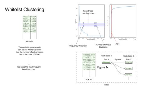 Recovery Algorithm Details — Slide Seq Pipeline 01 Documentation