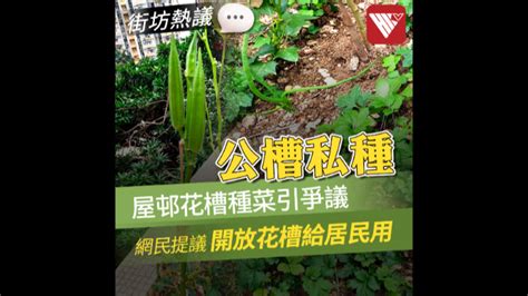 V仔：幾有創意😂 鳳凰秀 影響有影響力的人