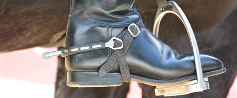 Understanding English Spurs And Their Shanks Aitkens Saddlery