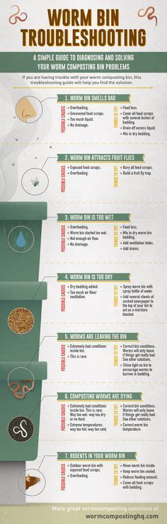 Visual Wormcomposting Bin Troubleshooting Guide A Simple Guide To