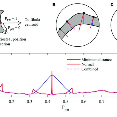 Measurement Methodology Used To Analyse The Cortical Thickness Of