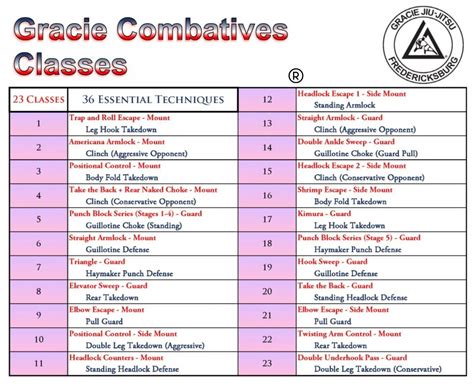 Jiu Jitsu Moves List