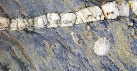 Cypherstructure Beach Architecture