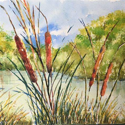 Watercolor Of Cattails Inspired By A Pond I Walked By While In