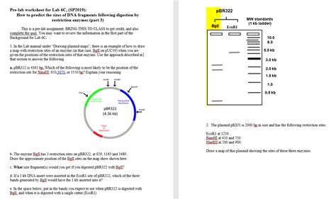 Solved Pre Lab Worksheet For Lab 6C SP2019 How To Chegg Com