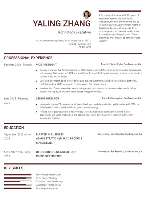 25 Best Executive Resume Examples And Templates For 2025