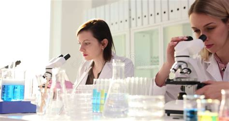 Women Scientists Work With Microscopes In Laboratory Stock Footage