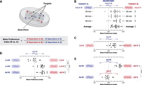 C Elegans Males Optimize Mate Preference Decisions Via Sex Specific