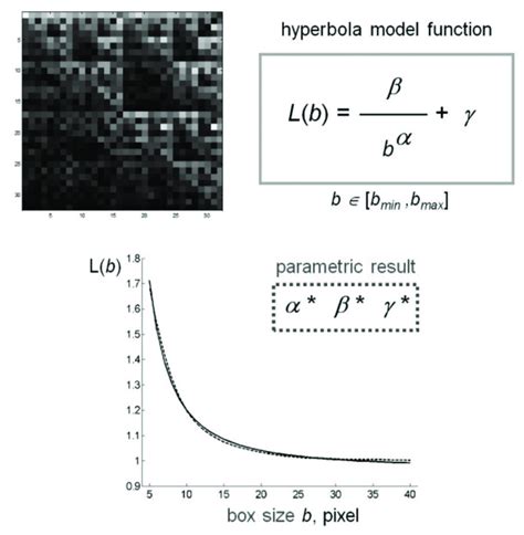 schematic representation of fractal lacunarity analysis top left