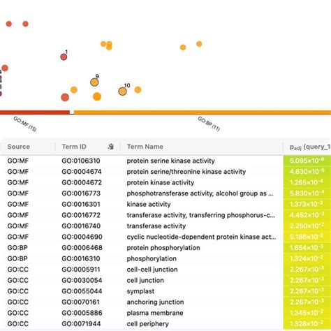 Functional Profiling Of Extracted Genes From Defined Windows Around