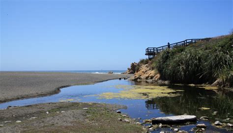 Beaches In Westport Ca California Beaches