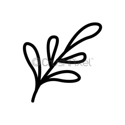 Weed Icon Vector Outline Illustration Stock Vector 4095599 Crushpixel